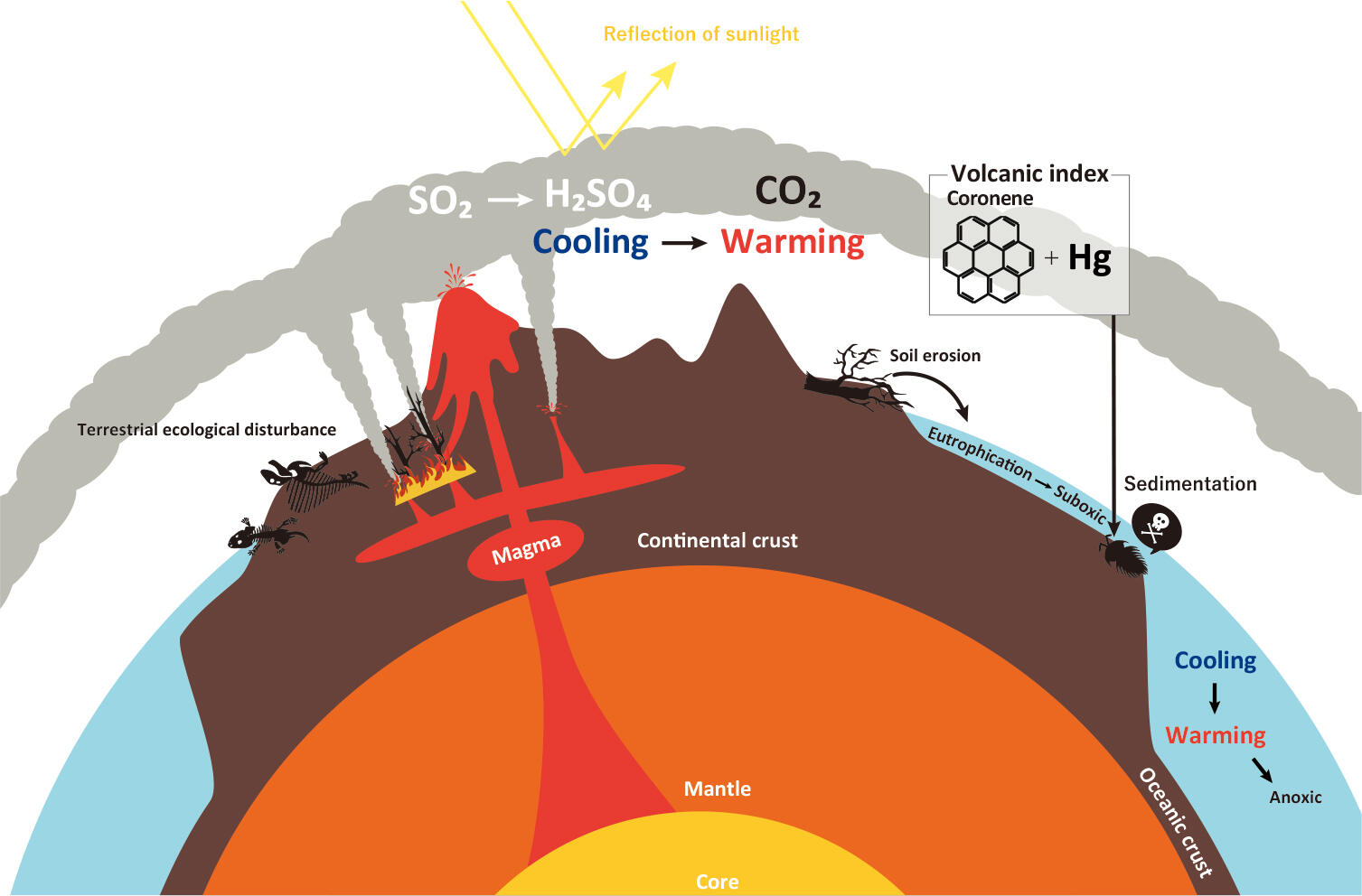 Large volcanic eruption caused the largest mass extinction｜News ...