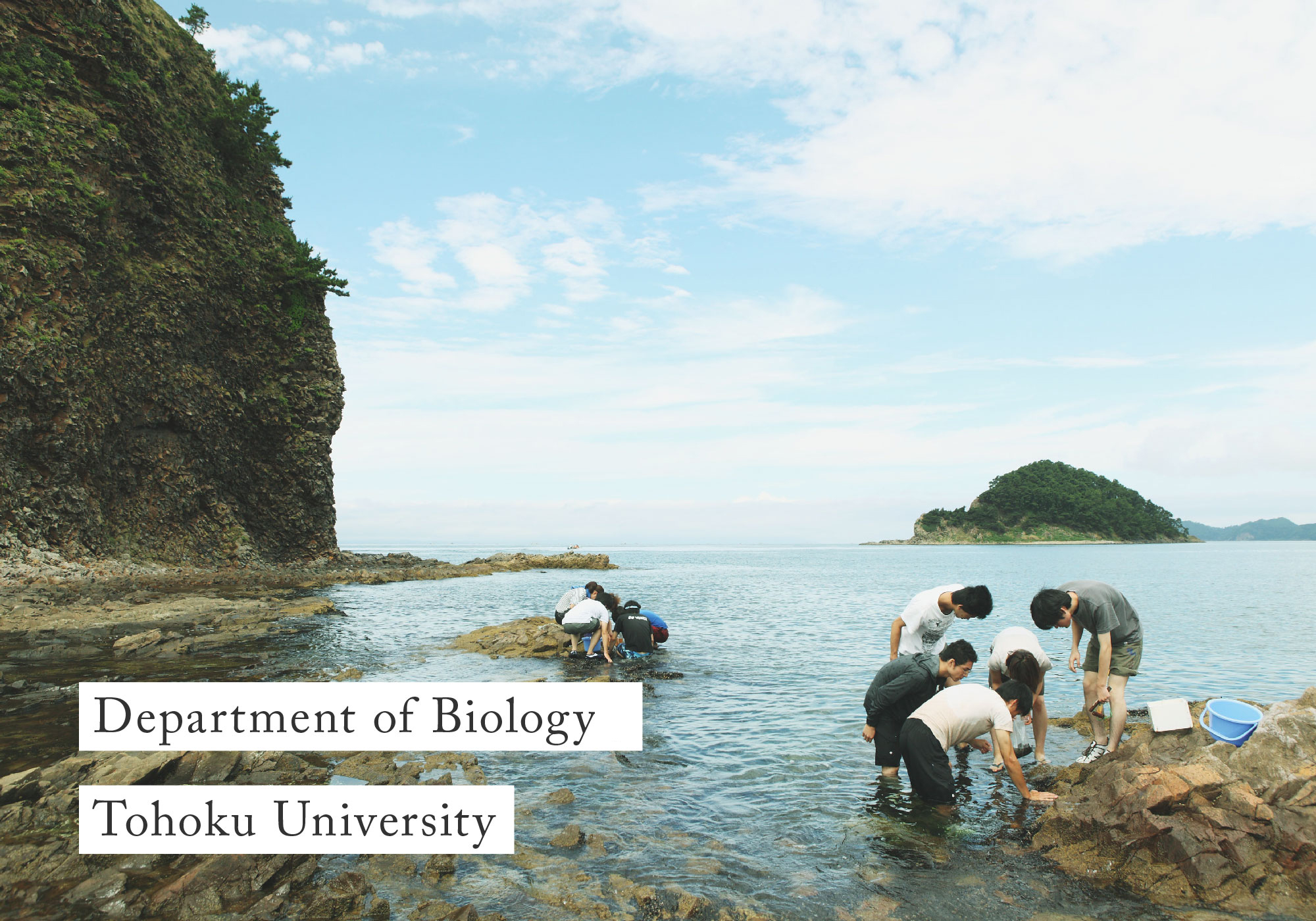 Graduate School of Science and Faculty of Science Tohoku University